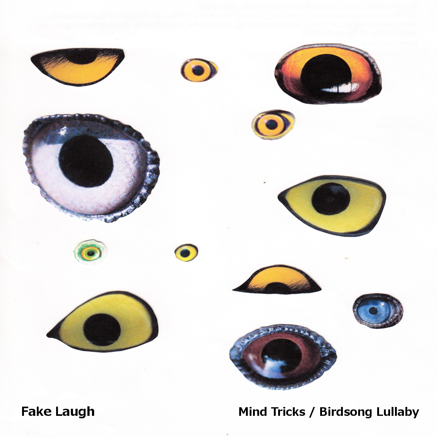 Fake Laugh Mind Tricks Stereogum Premiere fake-laugh-mind-tricks-stereogum-premiere